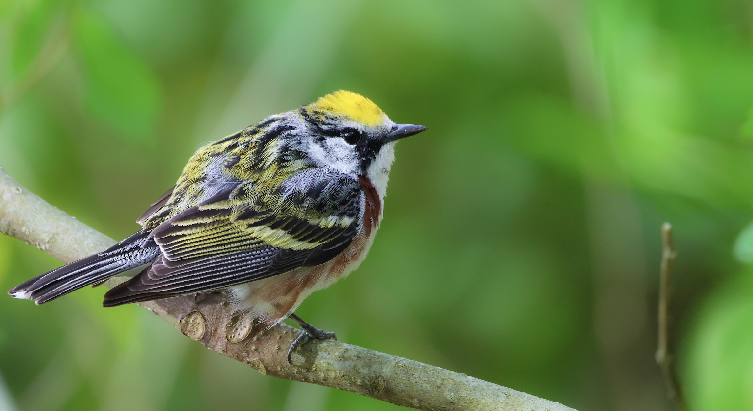 Share Your Best Photo of the Day - Page 499 - Photo Sharing and ...