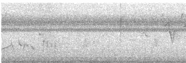 Maryland-DC Breeding Bird Atlas Checklist - 4 Aug 2023 - Serenity Ridge ...