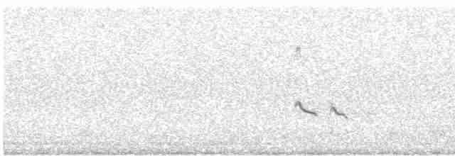 eBird Québec Checklist - 31 Jul 2023 - Carrière Margaret-Fraser - 5 ...