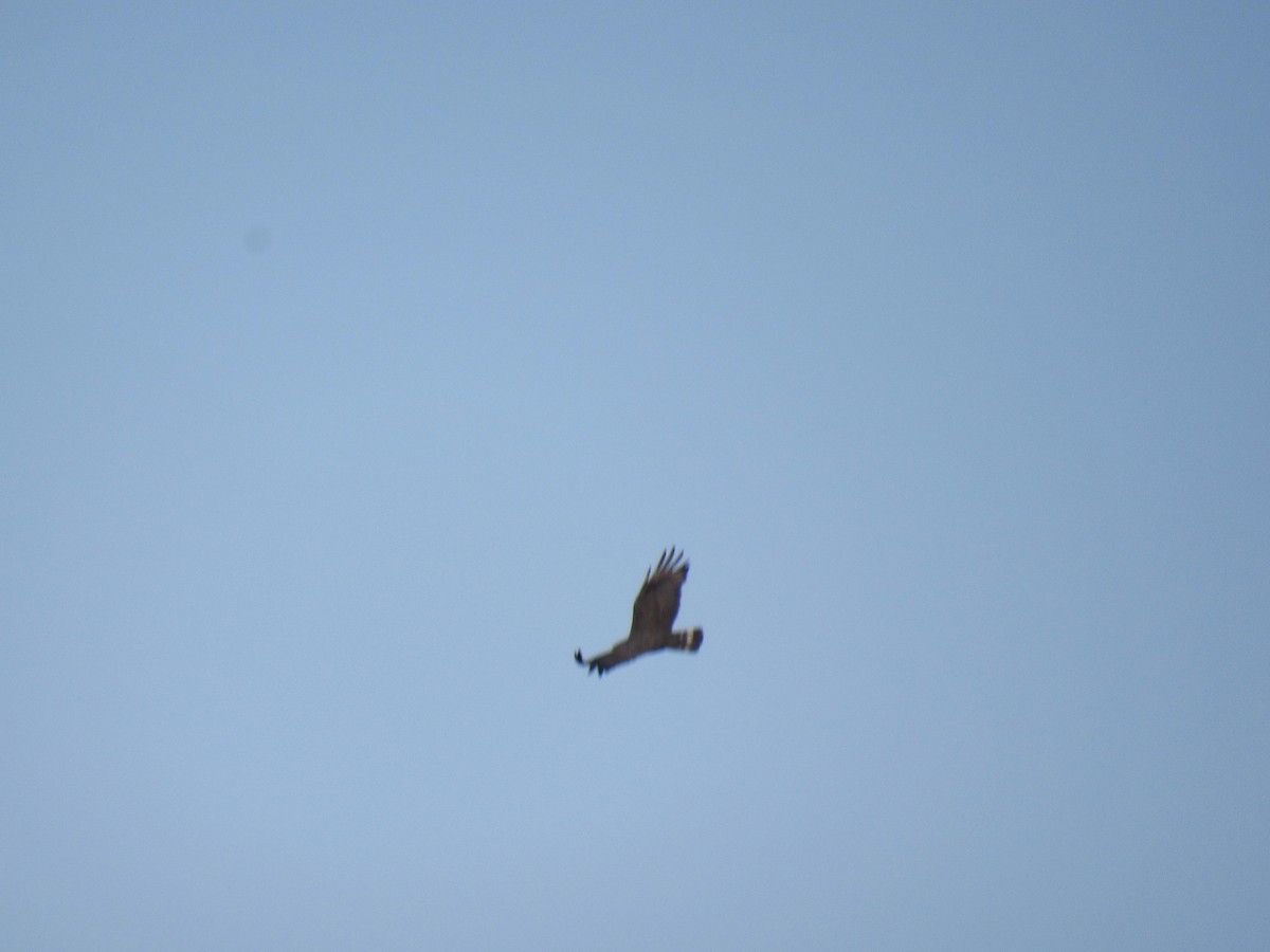 eBird Checklist - 20 Aug 2023 - Wichita Mtns Wildlife Refuge--Sunset ...