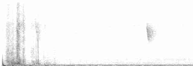 eBird Checklist - 26 Sep 2023 - Collier-Seminole SP - 24 species