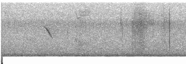 eBird Checklist - 10 Nov 2023 - Doug Rayner Wildlife Refuge at Nockum ...