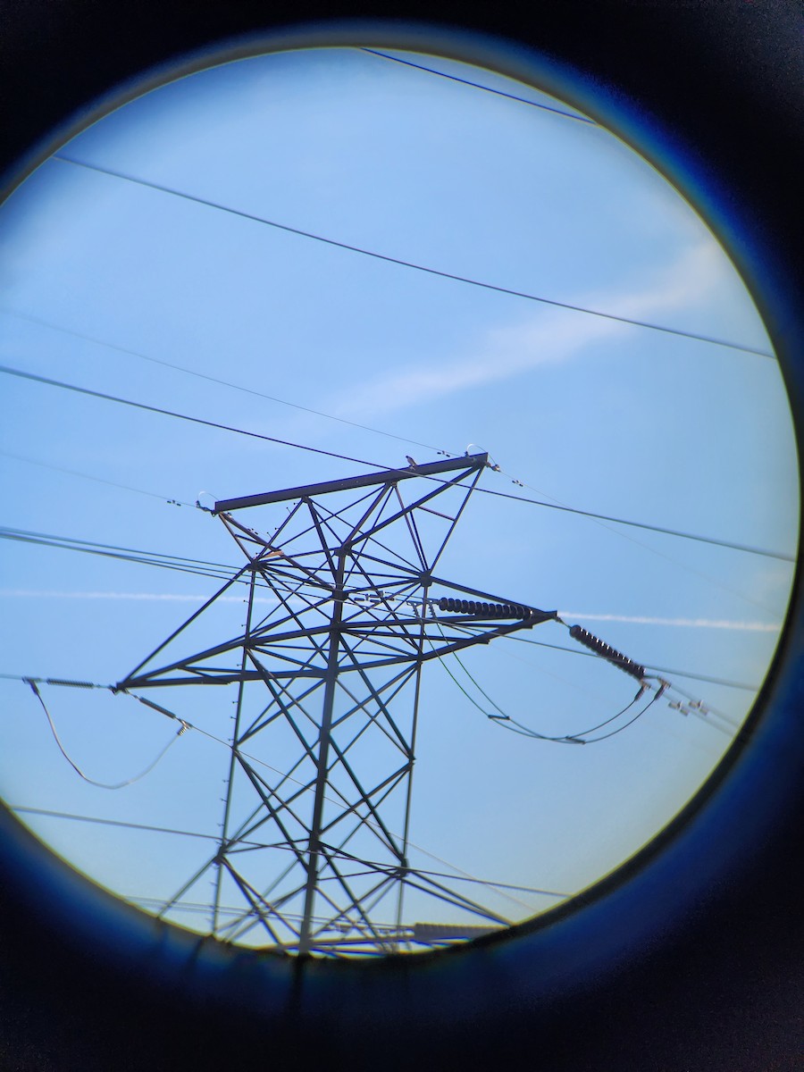 eBird Checklist - 16 Dec 2023 - Tabb, Yorktown, Virginia, US - 63 ...