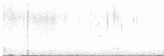 eBird Checklist - 19 Dec 2023 - Frank G. Bonelli RP/Puddingstone ...