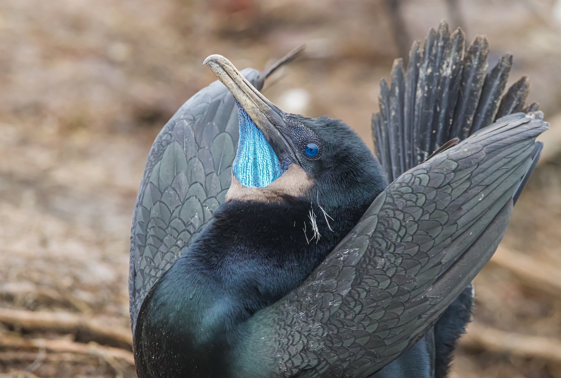 Share Your Best Photo of the Day - Page 524 - Photo Sharing and ...