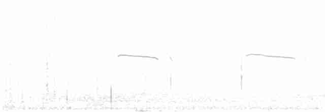 Pennsylvania Bird Atlas Checklist - 1 Jan 2024 - Bryn Coed Preserve (closed Thursdays) - 8 species