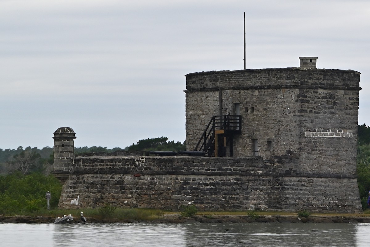 eBird Checklist - 28 Dec 2023 - Fort Matanzas NM - 4 species