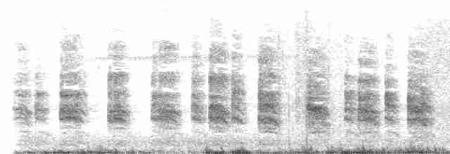 eBird Checklist - 25 Jan 2024 - Loxahatchee NWR - 42 species