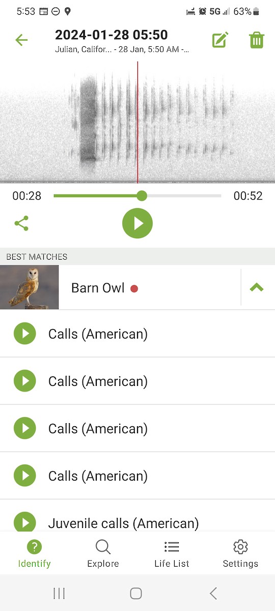 eBird Checklist - 28 Jan 2024 - Vallecito Campground - 1 species