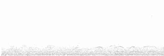 Pennsylvania Bird Atlas Checklist - 28 Jan 2024 - Struble Lake - 9 species