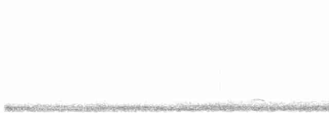 Pennsylvania Bird Atlas Checklist - 13 Feb 2024 - Bryn Coed Preserve (closed Thursdays) - 30 species