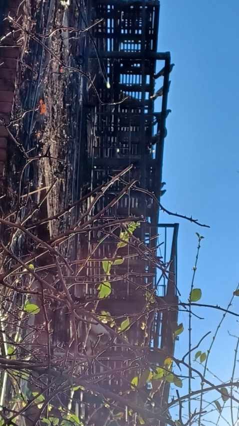 Great Backyard Bird Count Checklist - 19 Feb 2024 - 247 West 15th ...