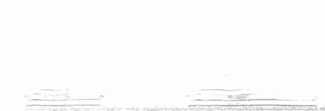 Pennsylvania Bird Atlas Checklist - 24 Feb 2024 - Faylor Lake - 2 species