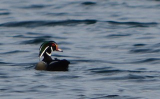 Illustrated Checklist - General Motors Technical Center (restricted ...