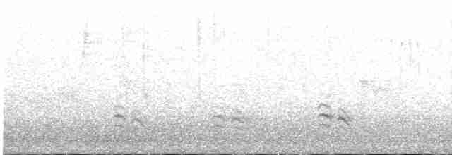 eBird Checklist - 28 Feb 2024 - 37th & A (Yard List) - 7 species