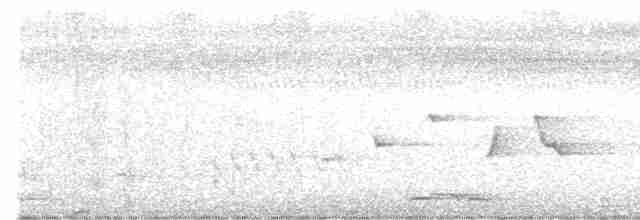 eBird Australia Checklist - 9 Mar 2024 - Sandy Camp Road Wetlands - 28 ...