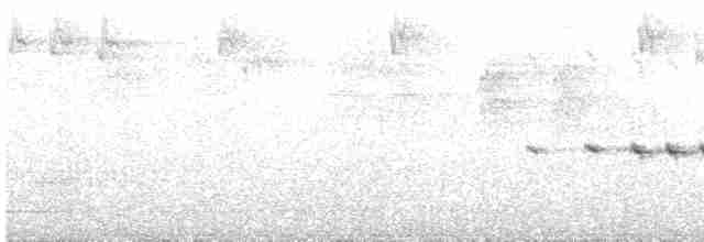 eBird Checklist - 23 Mar 2024 - Namadgi National Park--Bendora Dam ...