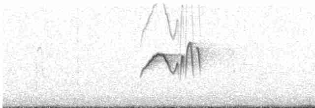 ML616418081 - Eastern Phoebe - Macaulay Library
