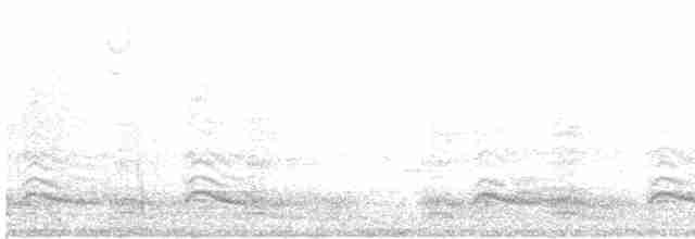 Pennsylvania Bird Atlas Checklist - 24 Mar 2024 - Struble Lake - 14 species