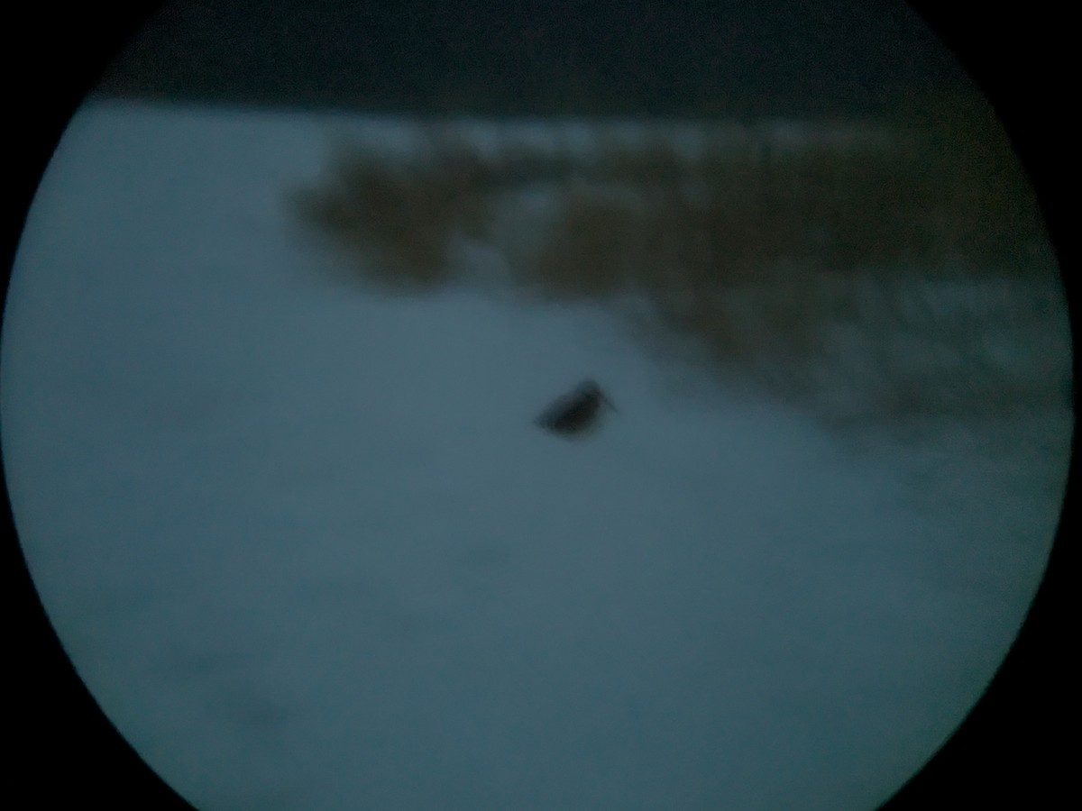 eBird Checklist - 25 Mar 2024 - Belwin Conservancy—Stagecoach Prairie ...