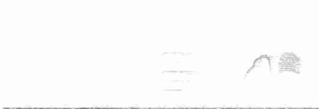 Pennsylvania Bird Atlas Checklist - 25 Mar 2024 - Dreamcatcher Farm - Home - 26 species