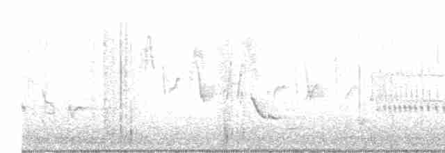 Pennsylvania Bird Atlas Checklist - 6 Apr 2024 - South Taylor Environmental Center - 19 species