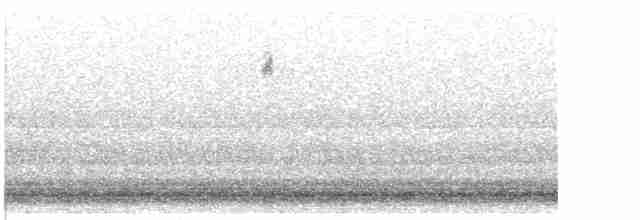 Pennsylvania Bird Atlas Checklist - 9 Apr 2024 - Fehon Backyard - 9 species (+2 other taxa)