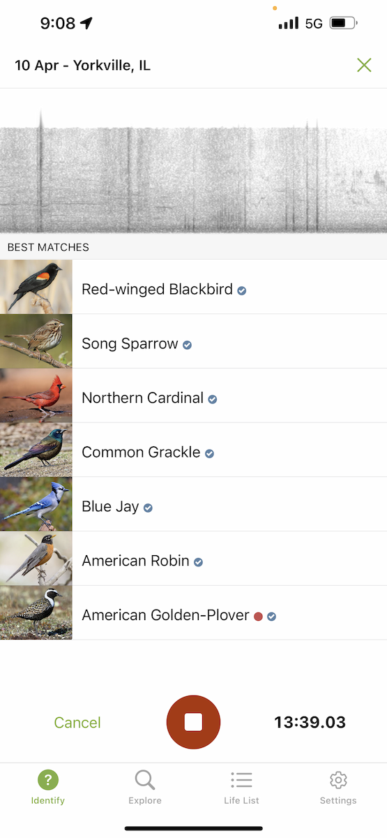 eBird Checklist - 10 Apr 2024 - Wheeler Rd, Yorkville US-IL 41.59242 ...