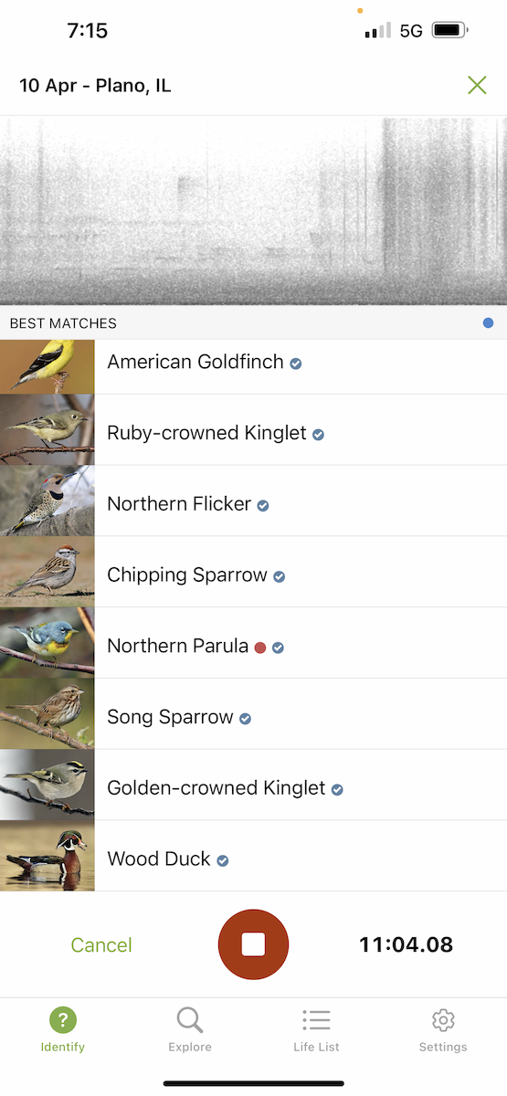 eBird Checklist - 10 Apr 2024 - Steward Park - 26 species