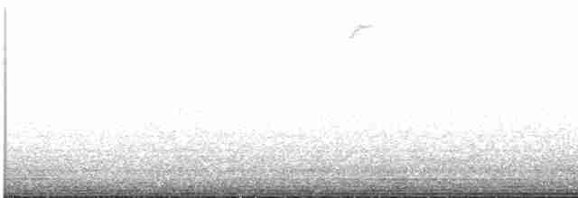 eBird Checklist - 9 Apr 2024 - Busy Bee home - 7 species (+2 other taxa)