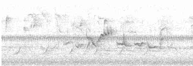 eBird Checklist - 17 Apr 2024 - WNWR - Mussle Camp Rd. Area - 56 species