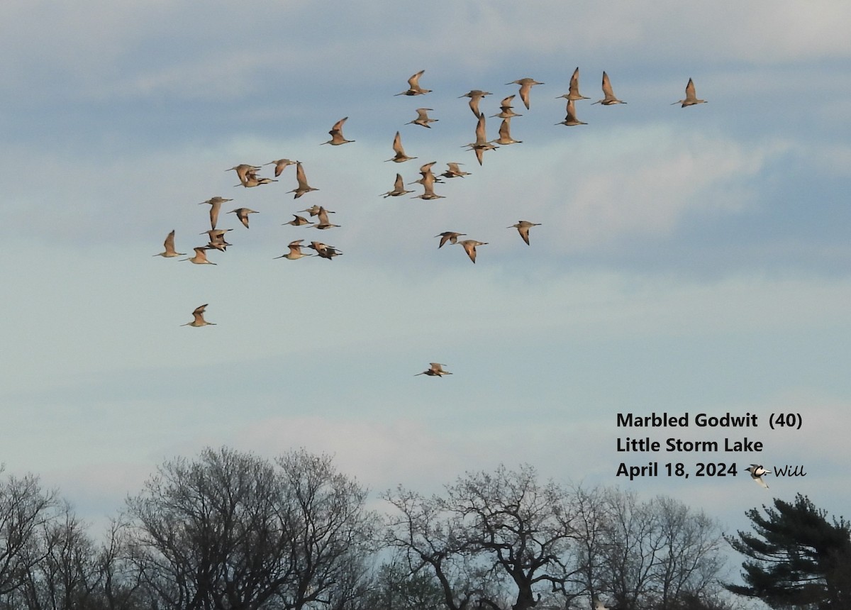 eBird Checklist - 18 Apr 2024 - Little Storm Lake - 7 species