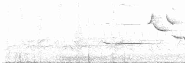 eBird Checklist - 20 Apr 2024 - Goose Run Park - 36 species