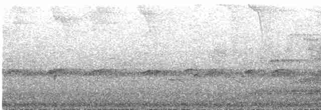 Wattled Guan - Aburria aburri - Media Search - Macaulay Library and eBird