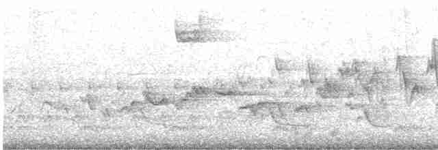 eBird Checklist - 25 Apr 2024 - Swan Creek WMA - 63 species