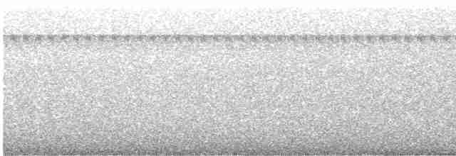 eBird Checklist - 27 Apr 2024 - Corkscrew Regional Ecosystem Watershed ...