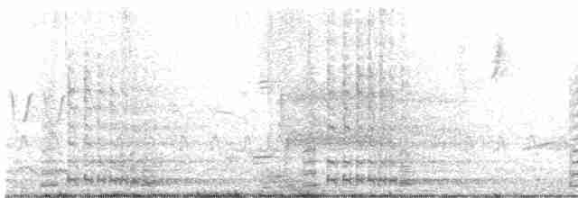 eBird Checklist - 28 Apr 2024 - Bedell Bridge SP, Haverhill - 46 ...