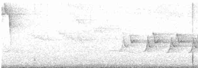 eBird Checklist - 3 May 2024 - Rock Creek Park--Western Ridge Trail ...