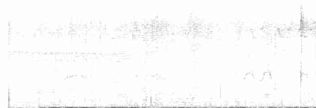 eBird Checklist - 27 Apr 2024 - Peck Ranch CA - 26 species