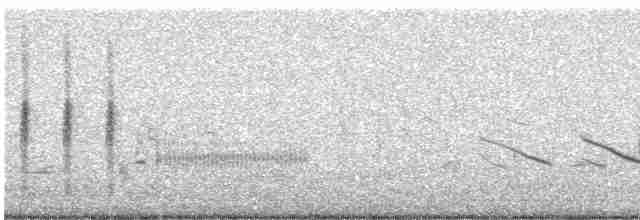 New York Breeding Bird Atlas Checklist - 4 May 2024 - Sheelar/New ...