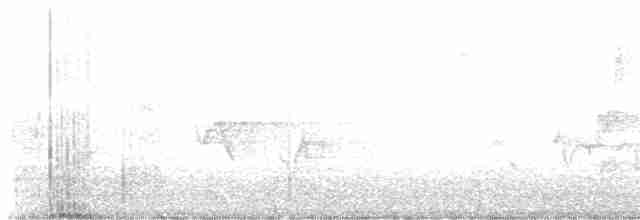 eBird Checklist - 4 May 2024 - Greenbelt Lake - Buddy Attick Lake Park ...