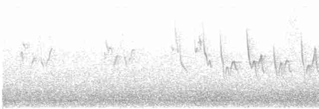 eBird Checklist - 5 May 2024 - Kent Vale, National University of ...