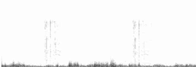 Wattled Guan - Aburria aburri - Media Search - Macaulay Library and eBird