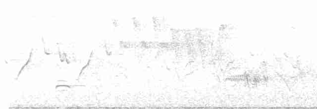 Pennsylvania Bird Atlas Checklist - 6 May 2024 - Ft. Indiantown Gap - Corridor (Lebanon Co ...