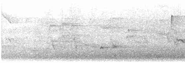 eBird Checklist - 9 May 2024 - Doyle Conservation Area (TTOR) - 40 ...