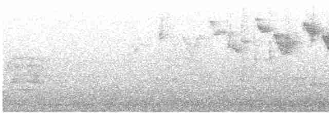 eBird Checklist - 10 May 2024 - 37th & A (Yard List) - 21 species