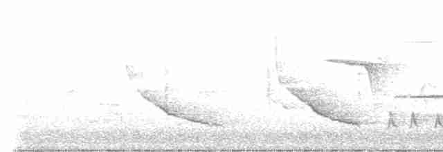 Pennsylvania Bird Atlas Checklist - 12 May 2024 - Lancaster Junction ...