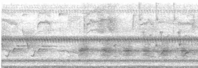 eBird Checklist - 12 May 2024 - WNWR - Mussle Camp Rd. Area - 57 species