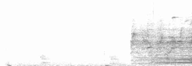 Pennsylvania Bird Atlas Checklist - 13 May 2024 - Harford NW, Harford Road Wetland - 16 species