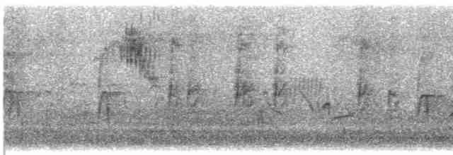 eBird Checklist - 15 May 2024 - Davidson Mesa Open Space & Trails - 26 ...